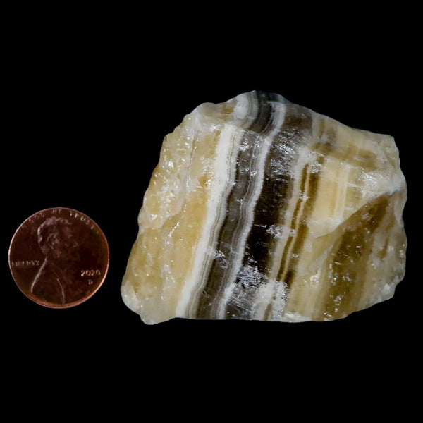 1.7" Natural Rough Zebra Calcite Crystal Mineral Specimen Nuevo Leon Mexico