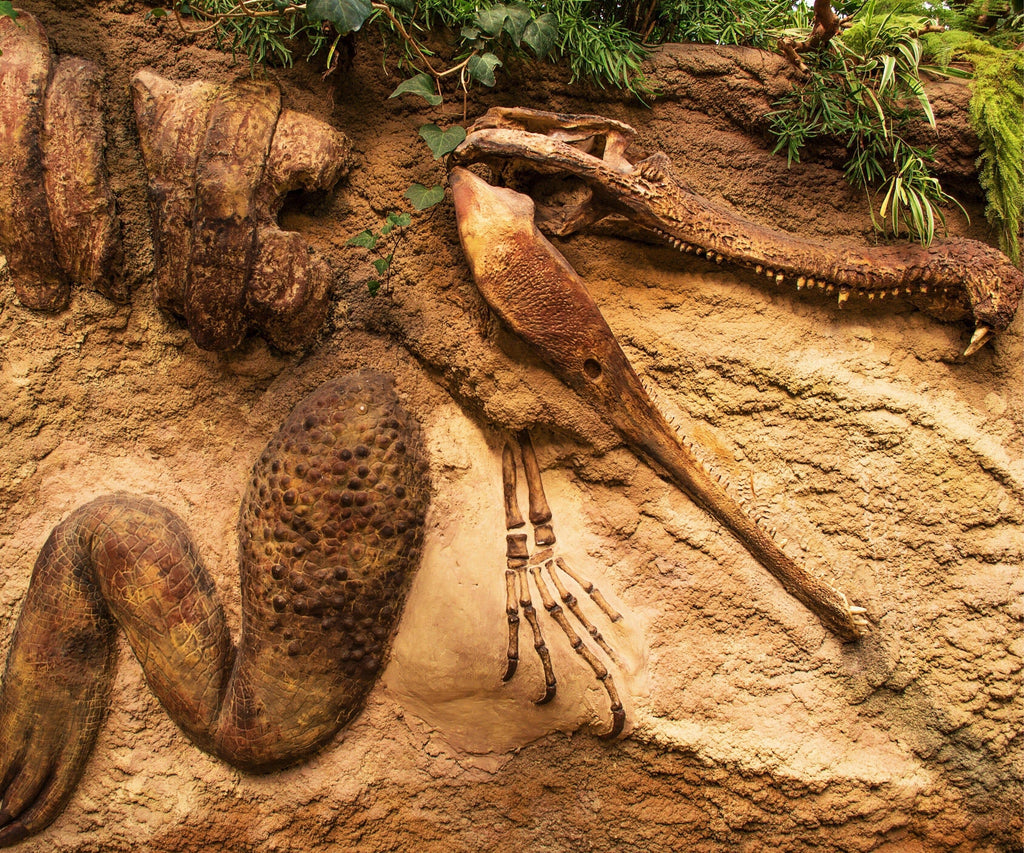 The Velociraptor Fossil Reveals About the Ancient World
