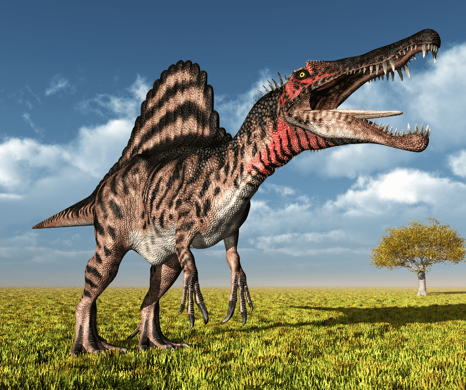 Here Are the Things You Did not Know About Spinosaurus