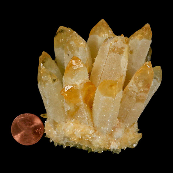 29 Yellow Phantom Ghost Quartz Crystal Chlorite Cluster Mineral Specimen