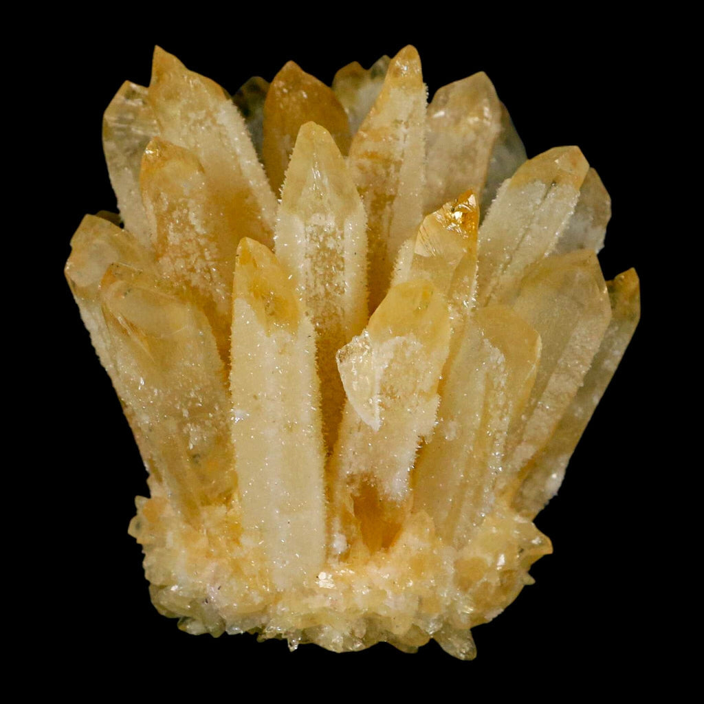31 Yellow Phantom Ghost Quartz Crystal Chlorite Cluster Mineral Specimen