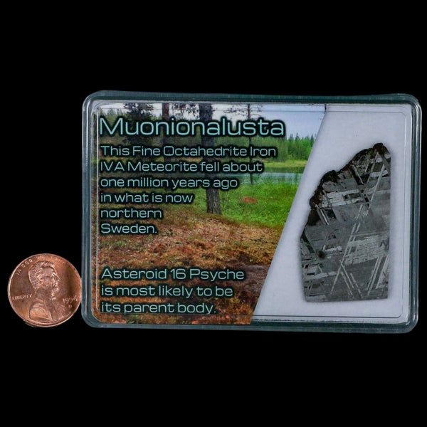 1.5" Muonionalusta Meteorite Specimen Sweden Meteorites Display 9.5 Grams