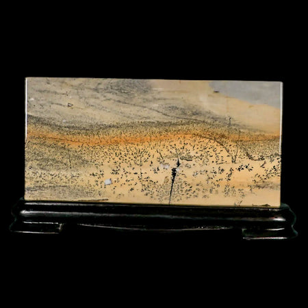Chinese Picture Jasper Collection - Fossil Age Minerals