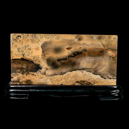 Chinese Picture Jasper Collection - Fossil Age Minerals