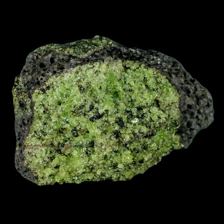 Peridot Mineral On Basalt Volcanic Rock For Sale - Fossil Age Minerals