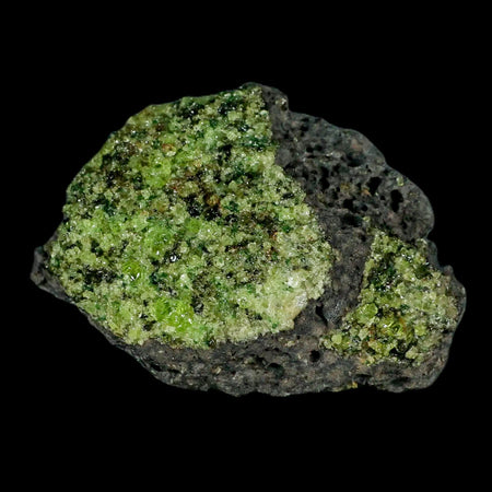 Peridot Mineral On Basalt Volcanic Rock For Sale - Fossil Age Minerals