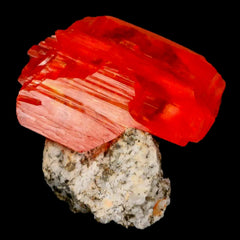 Fossil and Mineral Online Store | Dinosaur Fossils | Fossil Age Minerals