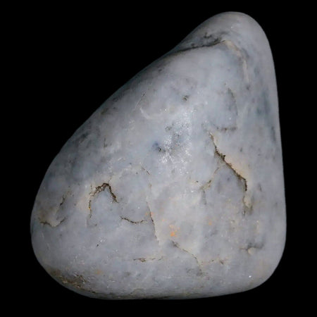 Gastrolites - Gastrolith Stomach Stones For Sale - Fossil Age Minerals