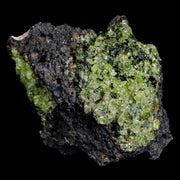 Peridot Mineral On Basalt Volcanic Rock For Sale - Fossil Age Minerals