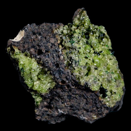 Peridot Mineral On Basalt Volcanic Rock For Sale - Fossil Age Minerals