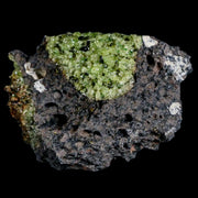 Peridot Mineral On Basalt Volcanic Rock For Sale - Fossil Age Minerals