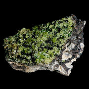 Peridot Mineral On Basalt Volcanic Rock For Sale - Fossil Age Minerals