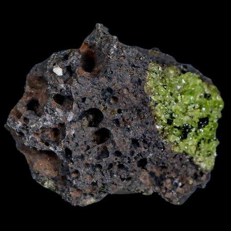 Peridot Mineral On Basalt Volcanic Rock For Sale - Fossil Age Minerals