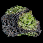 Peridot Mineral On Basalt Volcanic Rock For Sale - Fossil Age Minerals