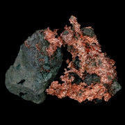 Copper Mineral Specimens For Sale - Fossil Age Minerals