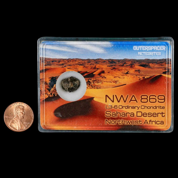 NWA 869 Meteorite Sahara Desert Northwest Africa Display L3-6 Chondrite ...