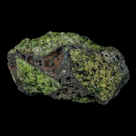Peridot Mineral On Basalt Volcanic Rock For Sale - Fossil Age Minerals