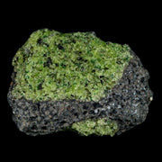 Peridot Mineral On Basalt Volcanic Rock For Sale - Fossil Age Minerals