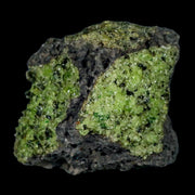 Peridot Mineral On Basalt Volcanic Rock For Sale - Fossil Age Minerals