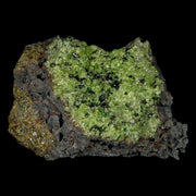 Peridot Mineral On Basalt Volcanic Rock For Sale - Fossil Age Minerals