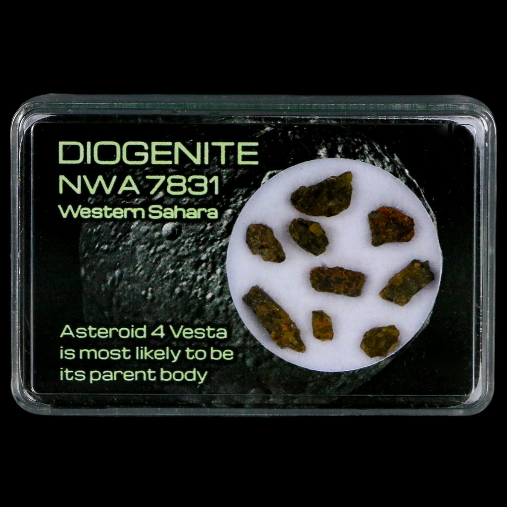 Diogenite Meteorites Asteroid 4 Vesta Specimen NMW 7831 Western Sahara ...