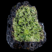 Peridot Mineral On Basalt Volcanic Rock For Sale - Fossil Age Minerals