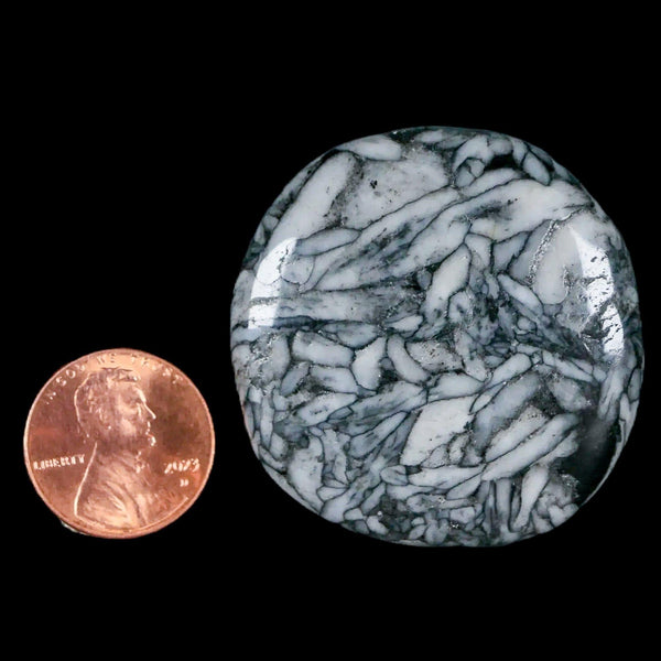 41MM Pinolite Polished Palm Stone Mineral Specimen Panolith Austria