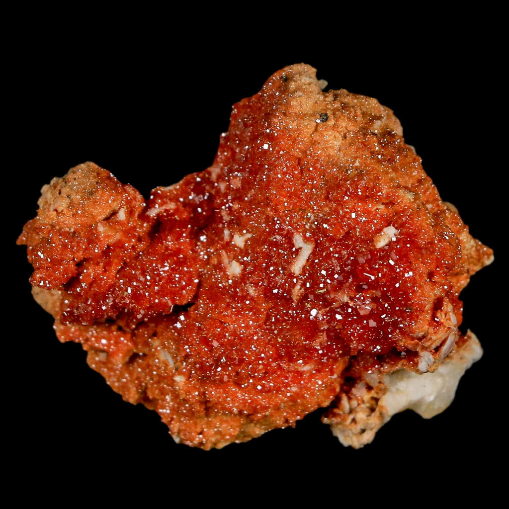 16 Sparkly Red Vanadinite Crystals On White Barite Blades Mineral ...