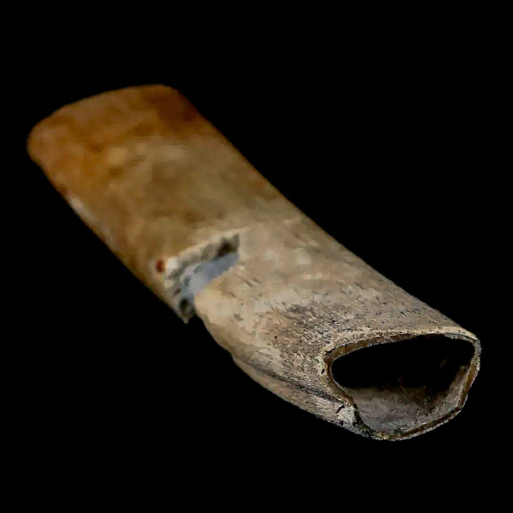 4" Giant Ground Sloth Lestodon Armatus Fossil Tooth Pleistocene Epoch ...