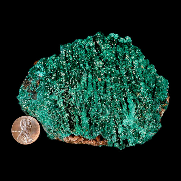 4 Dark Green Malachite Crystals On Barite Blades Mineral Specimen ...