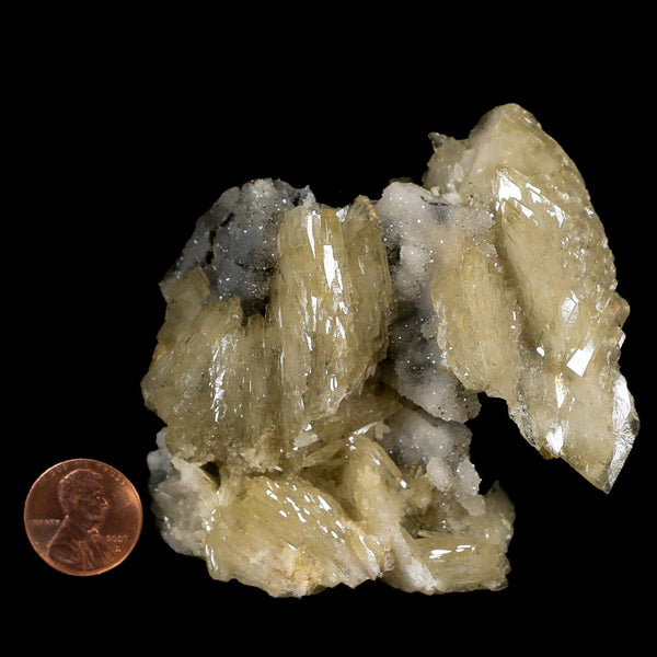 32 Barite Blades Pyrite And Crystal Quartz Minerals Bou Nahas Mine Morocco