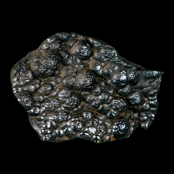 29 Hematite Botryoidal Kidney Ore Rock Mineral Specimen Irhoud Mine Morocco