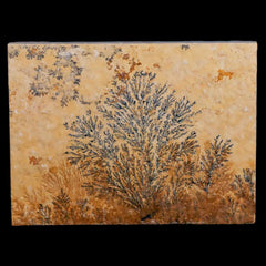 Mineral Rocks & Crystals for Sale - Fossil Age Minerals