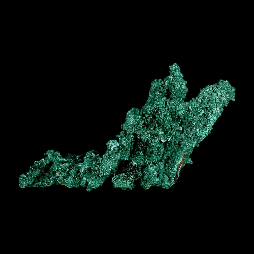 38 Dark Green Malachite Crystal Mineral Specimen Tiznit Province Morocco