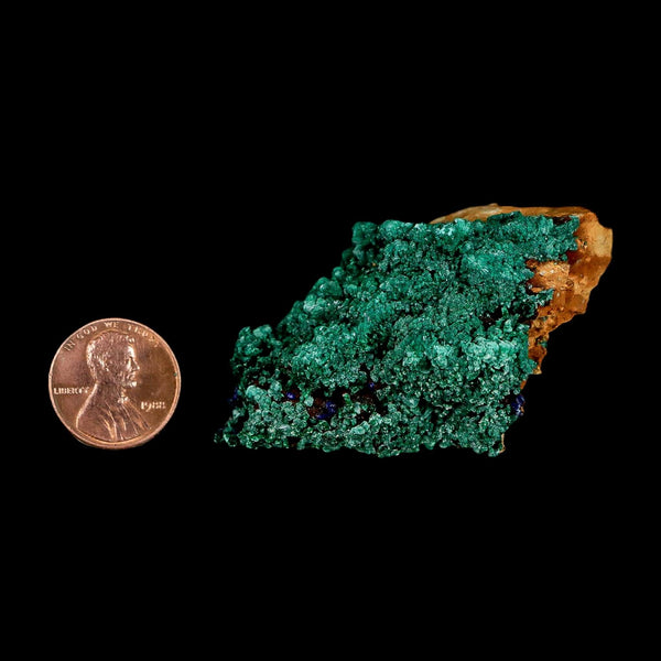 24 Dark Green Malachite Crystal Mineral Specimen Tiznit Province Morocco