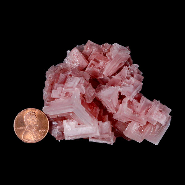 2.8" Quality Pink Halite Salt Crystals Cluster Mineral Trona, CA ...