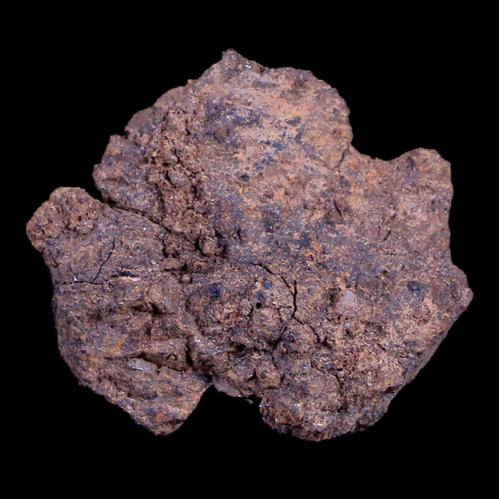 Vaca Muerta Meteorite Riker Display Taltal Antofagasta Chile Found 1861 ...