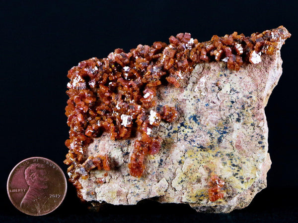2.9" Sparkly Druzy Red Vanadinite Crystals Cluster Mineral Specimen Morocco